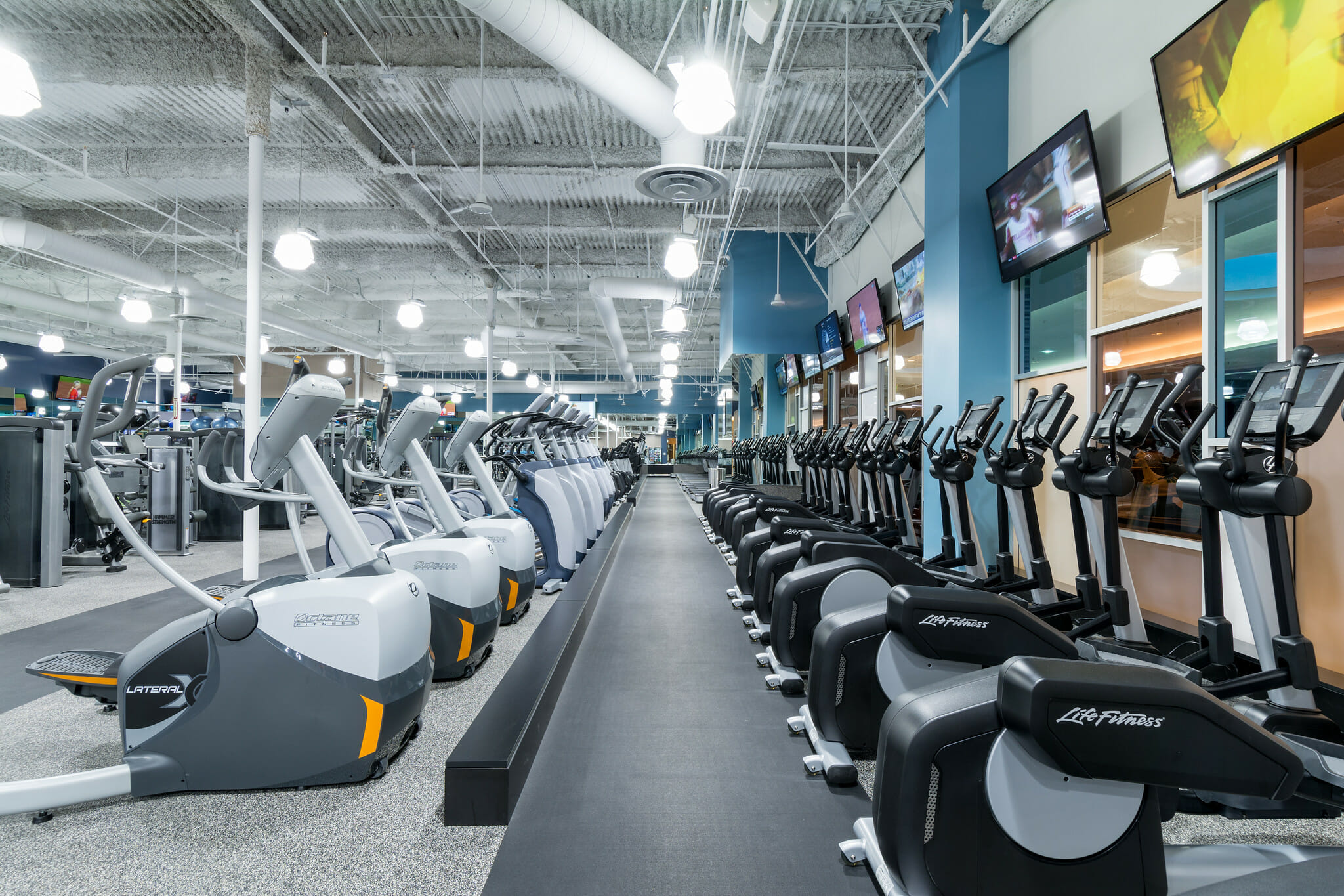Gym Equipment & Facilities | Fitness 19