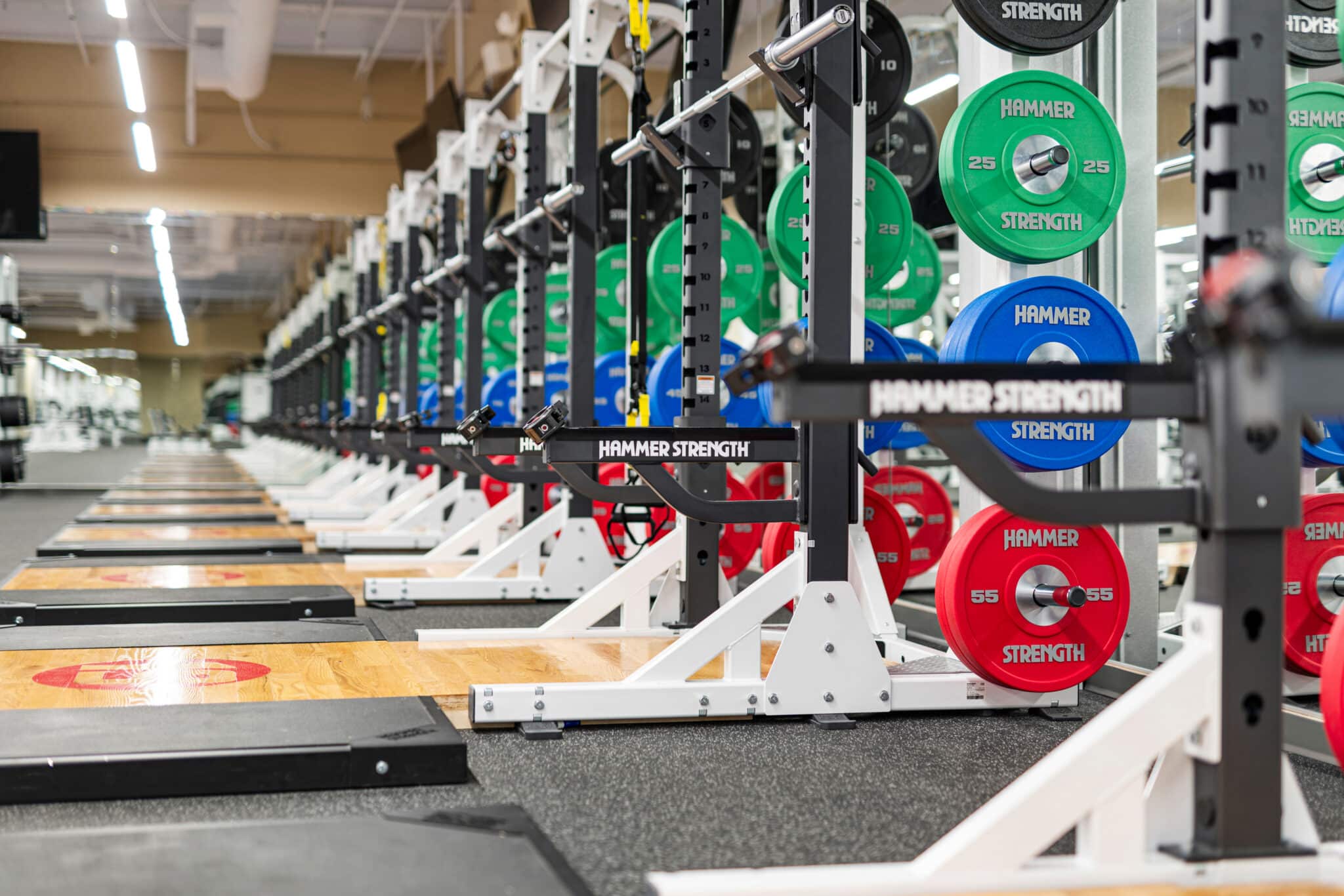 Club Memberships | Fitness 19